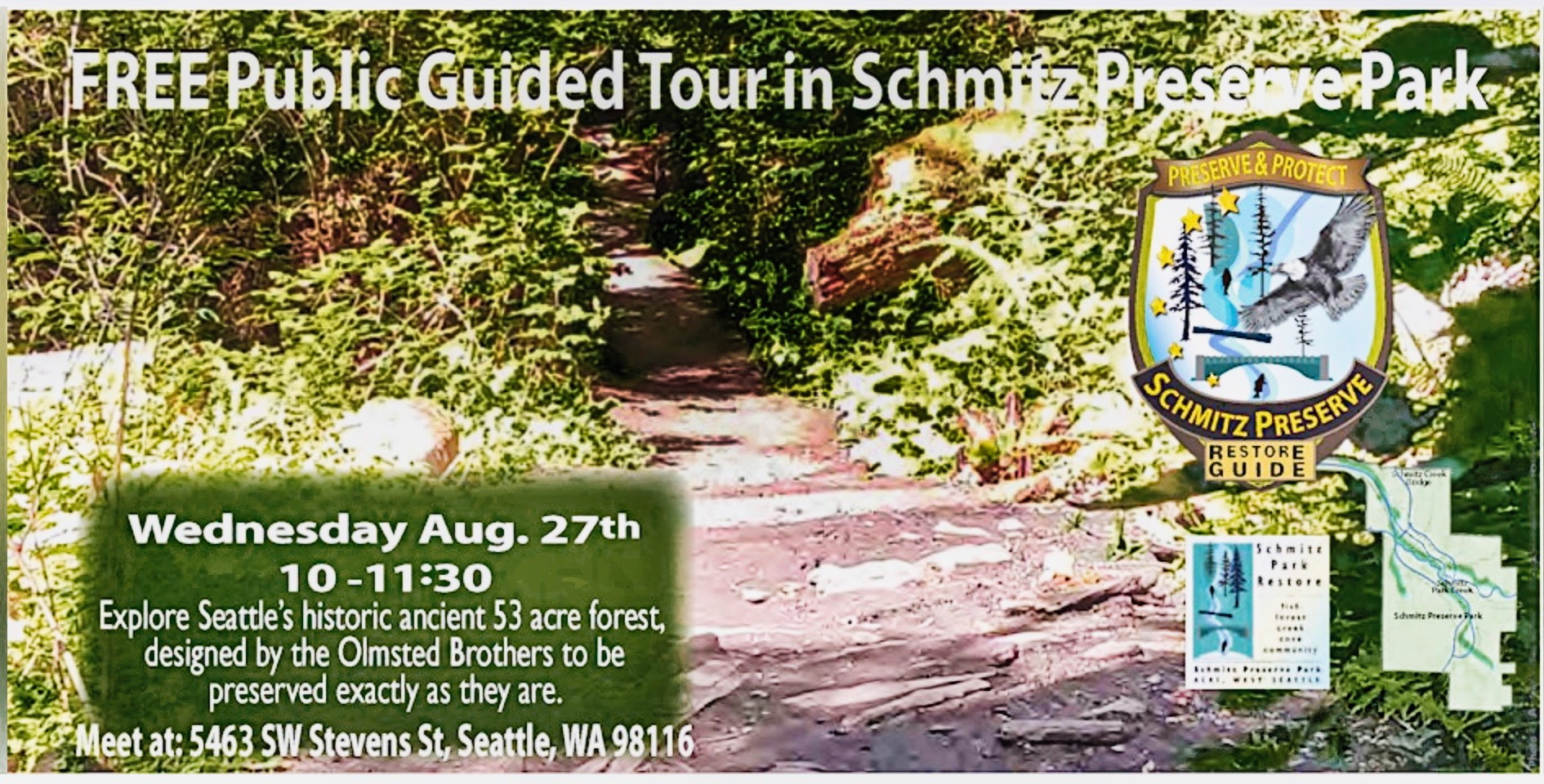 Explore Seattle's ancient forest: Guided tours of Schmitz Preserve Park ...